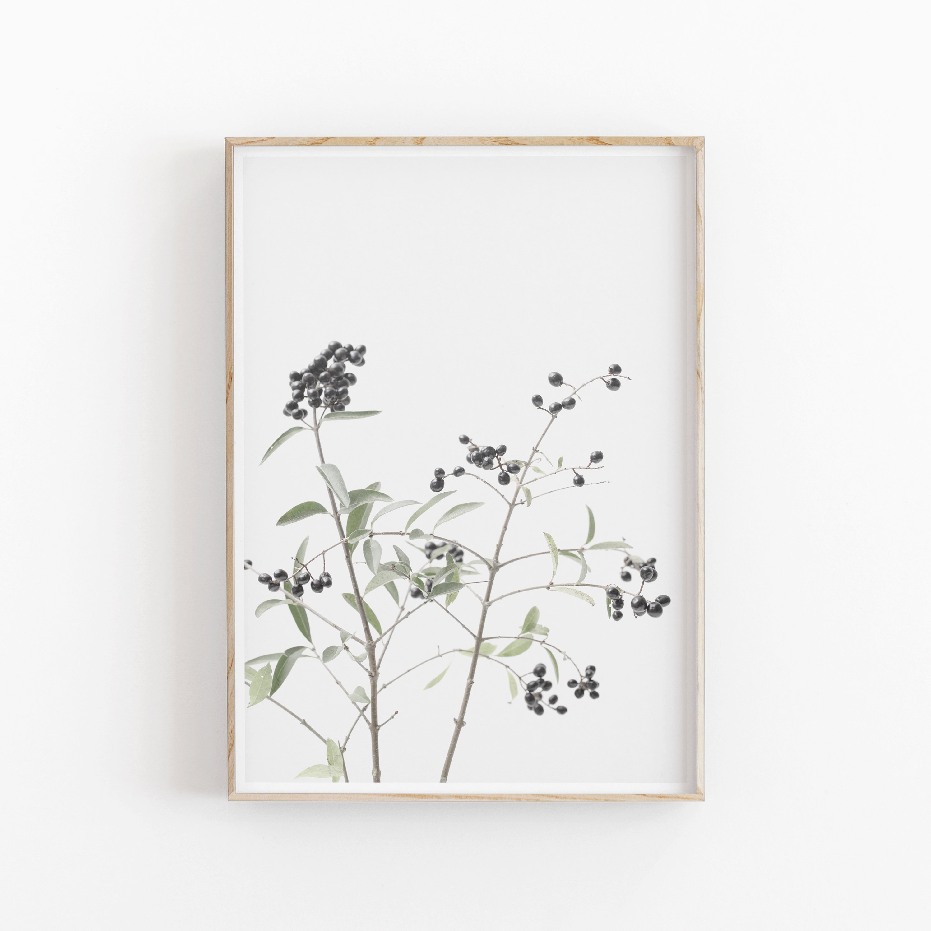 Botanical Print Set of 4 Botanical Print Printable Art - Etsy