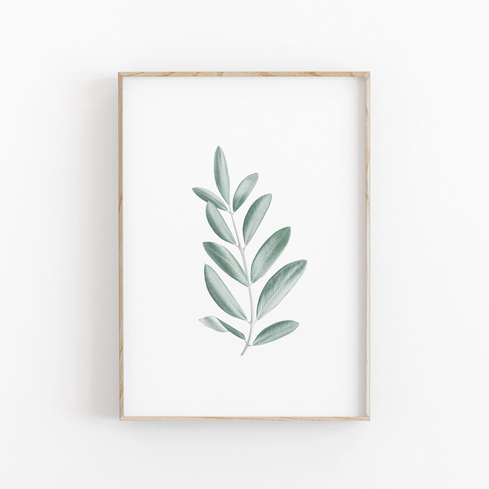 Botanical Print Set of 3 Greenery Print Printable Art - Etsy