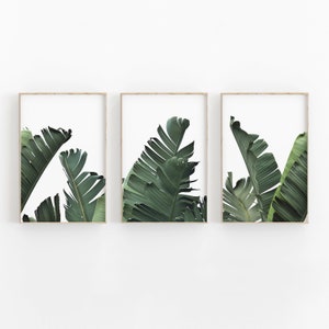 Tropical Leaves Print Set of 3, Palm Leaf Print, Greenery Art ...
