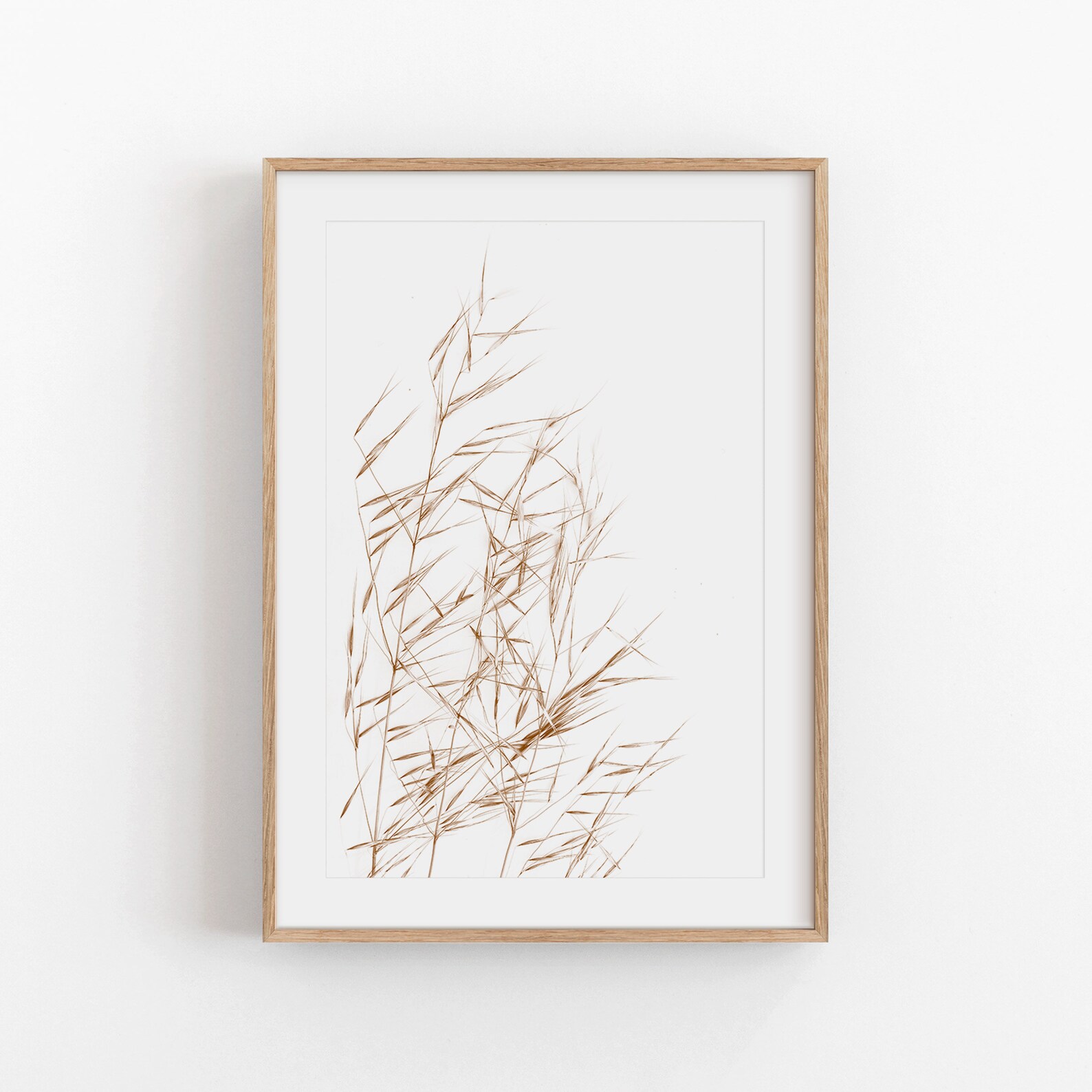 Botanical Print Set of 3 Dried Grass Print Printable Art - Etsy