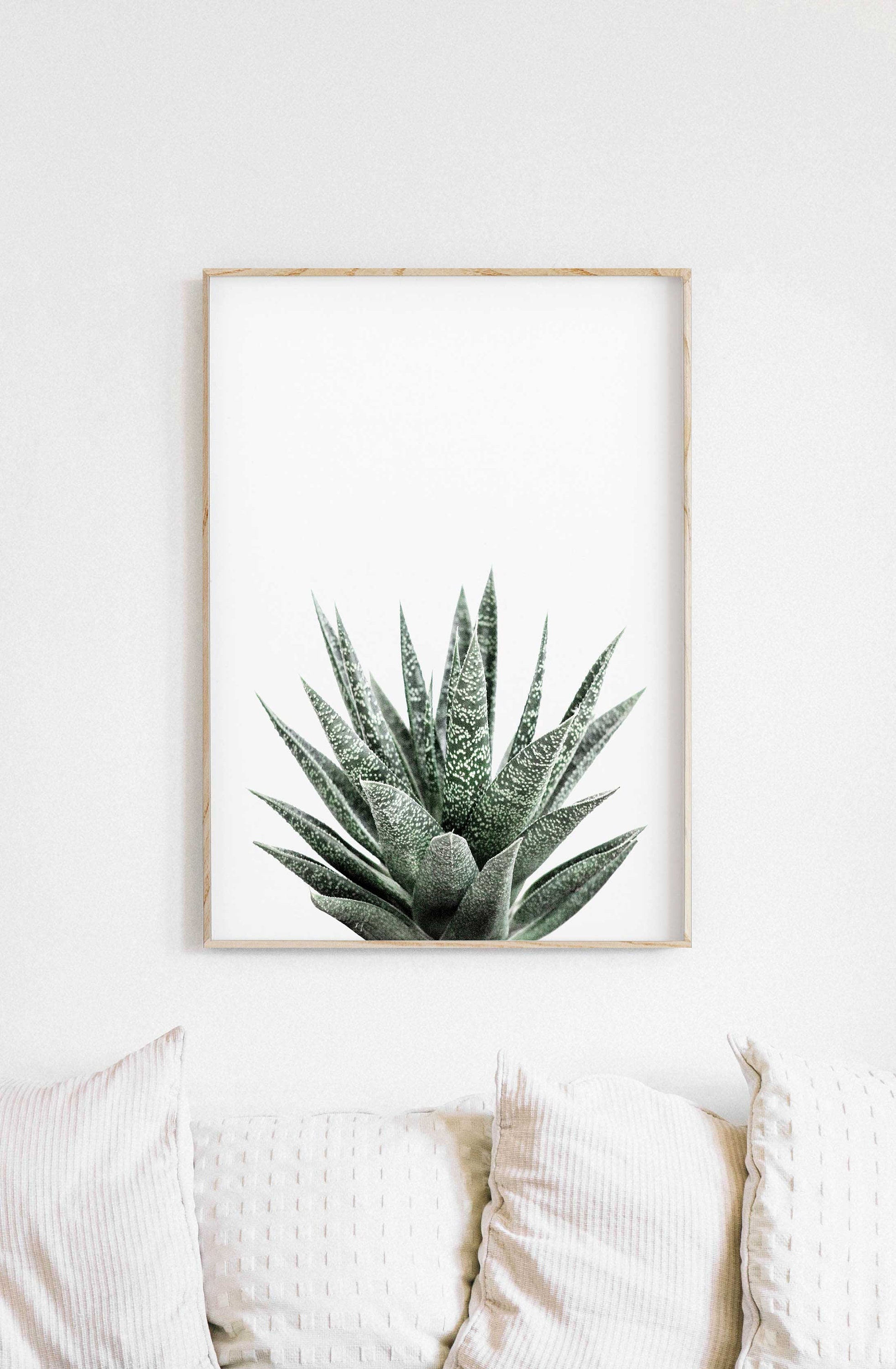 Succulent Print Set of 3 Botanical Print Printable Art | Etsy