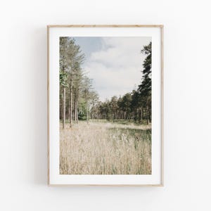 Summer Landscape Print Set of 3, Nature Wall Art, PRINTABLE Art ...