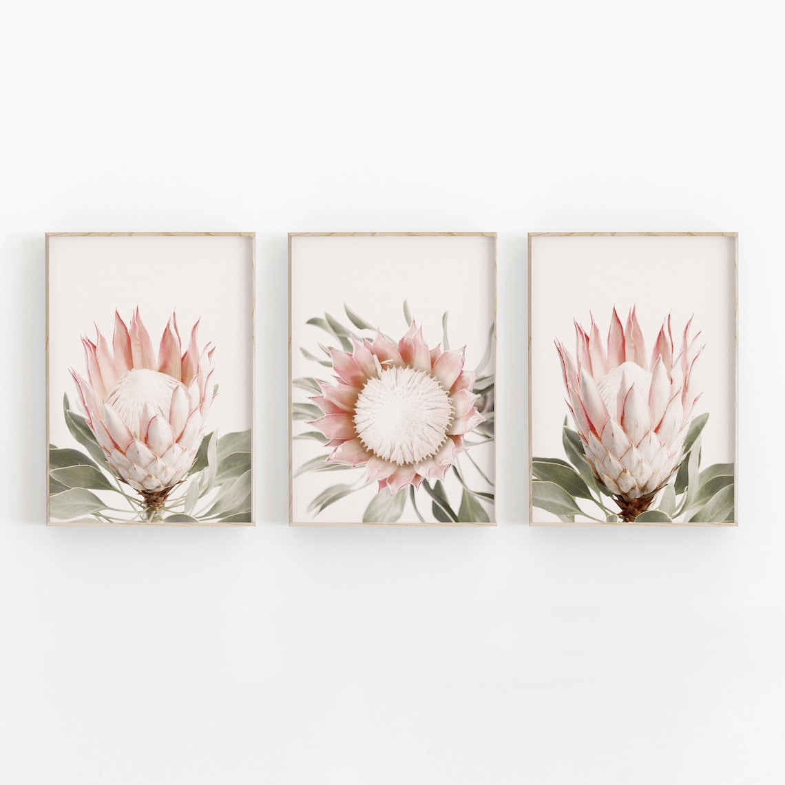 Protea Print Set of 3 Flower Print Printable Art INSTANT | Etsy