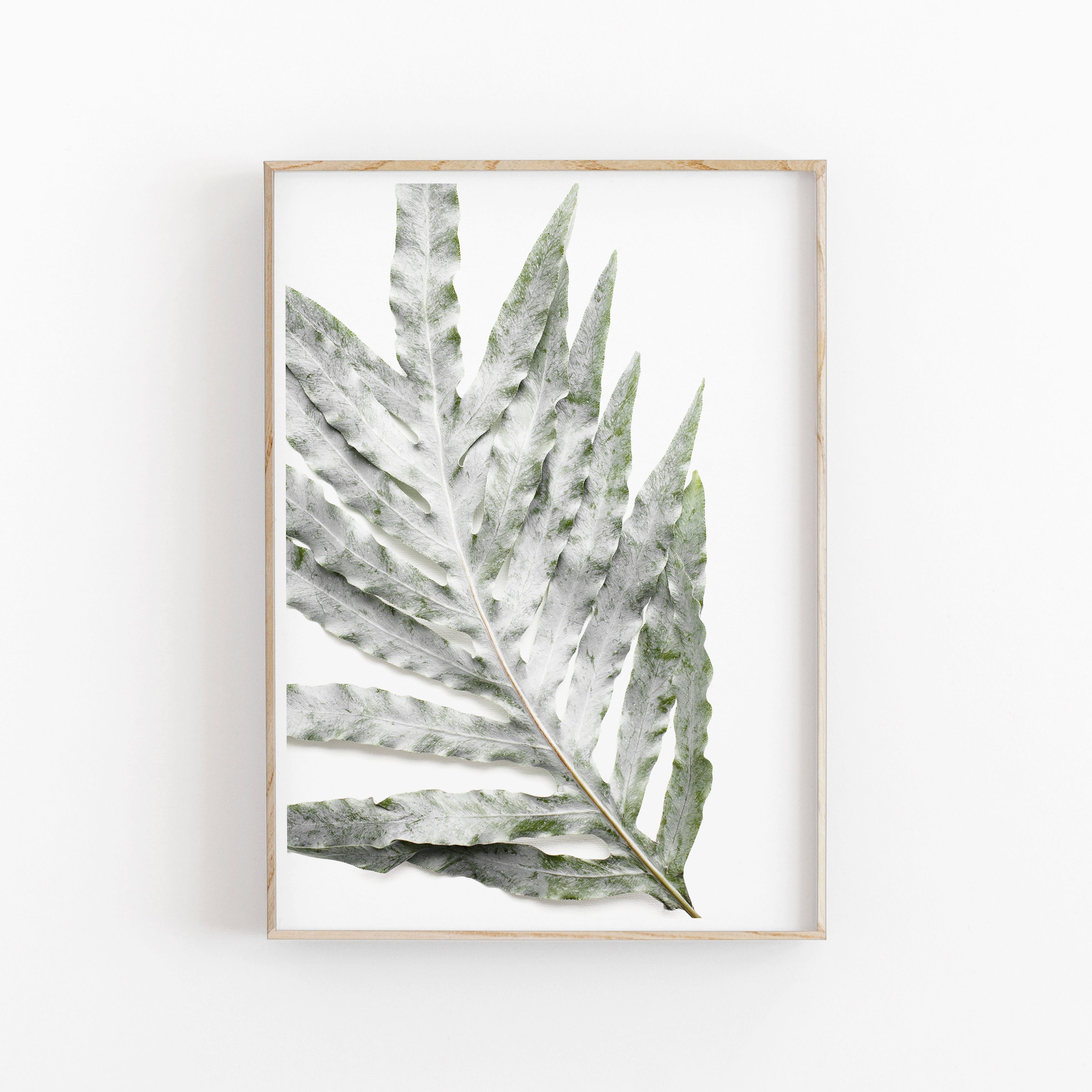 Botanical Print Set of 4 Botanical Print Printable Art - Etsy