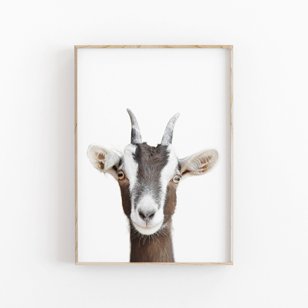 Goat Print, Instant Art, INSTANT DOWNLOAD, Modern Minimalist Poster ...