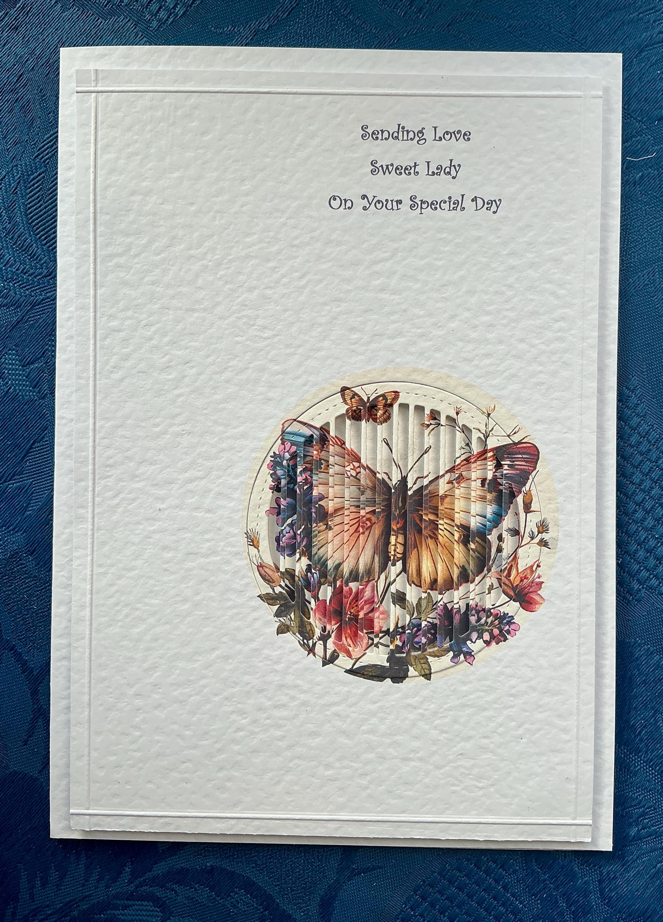 Small Stitch Circle Lines and Panels Aperture Slatted Cutting Die for ...