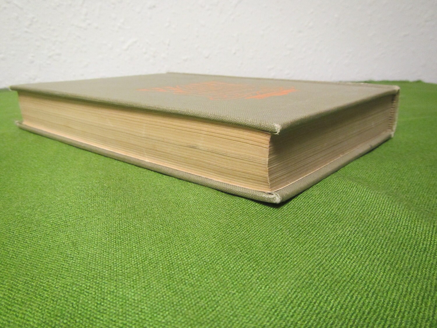 Cecilia: A Story of Rome F. Marion Crawford 1902 sj - Etsy