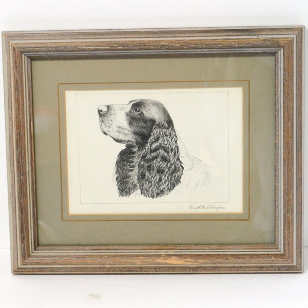 Springer Spaniel Art - Etsy