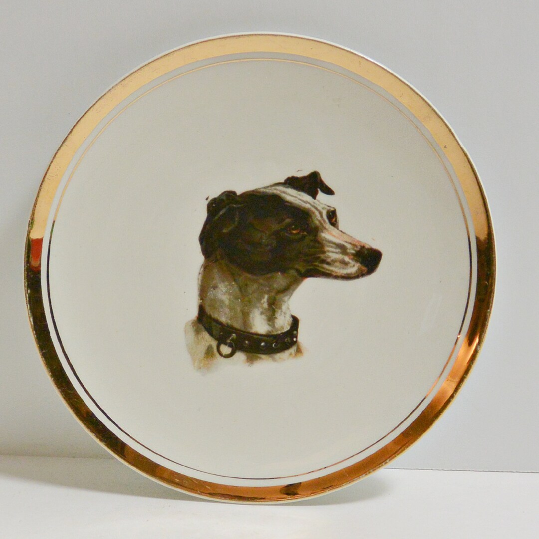 Antique Greyhound/whippet Decorative Plate, Sevres Plate, Antique ...
