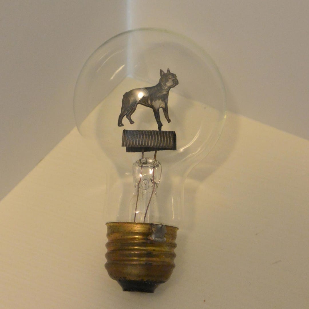 Vintage Aerolux Boston Terrier Dog Bulb, Collectible Antique Cheer ...