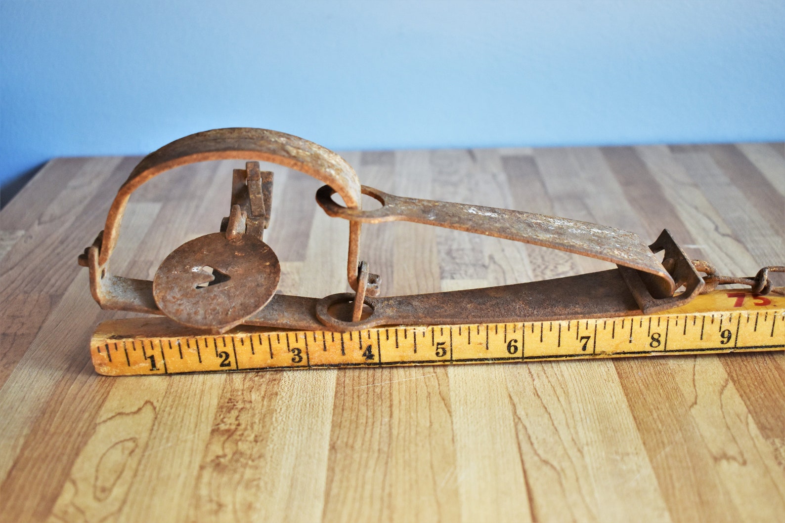 Vintage Steel Snare Trap - Oneida Victor Small Game - Etsy