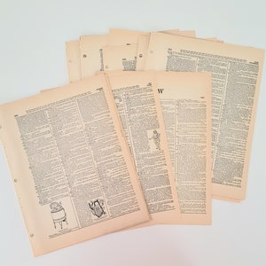 16 Dictionary Pages - Vintage Double-sided Papers - Etsy