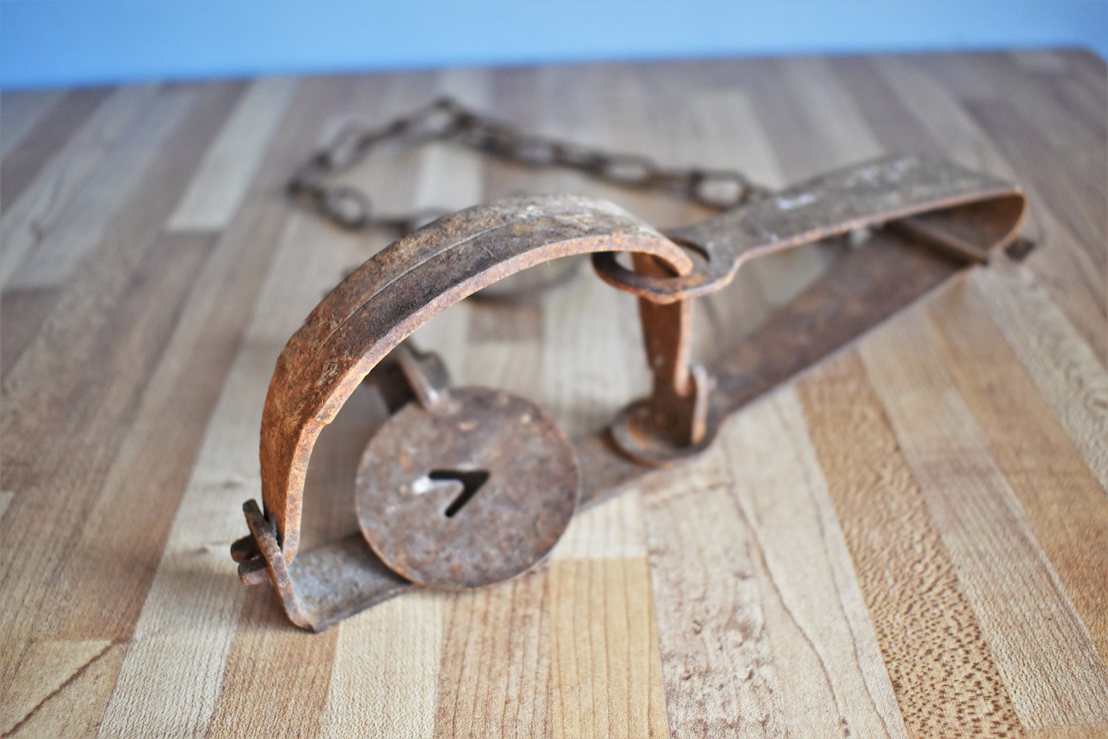 Vintage Steel Snare Trap - Oneida Victor Small Game - Etsy