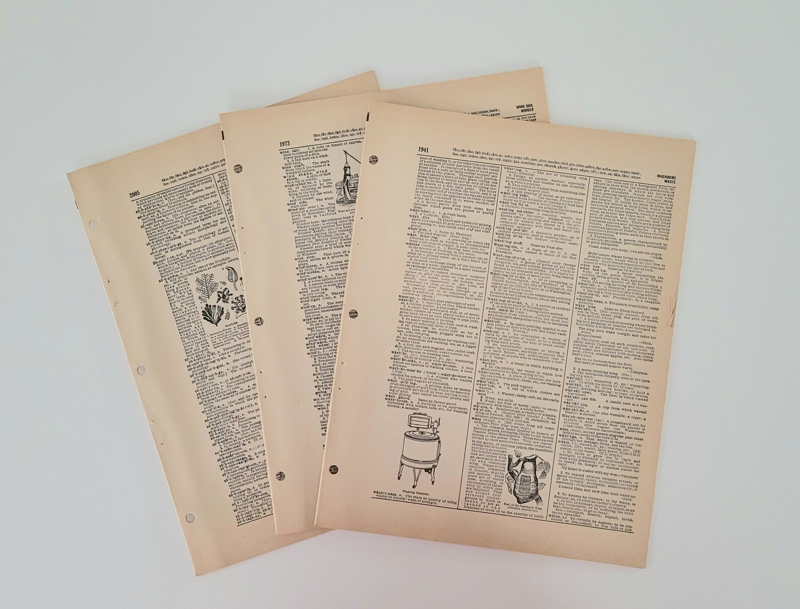 16 Dictionary Pages - Vintage Double-sided Papers - Etsy