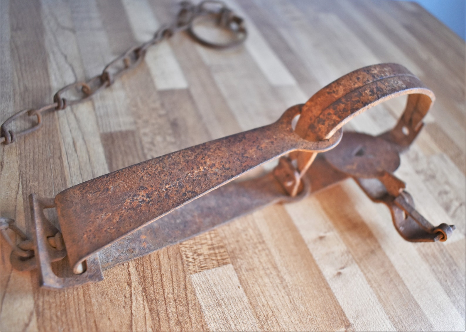 Vintage Steel Snare Trap - Oneida Victor Small Game - Etsy