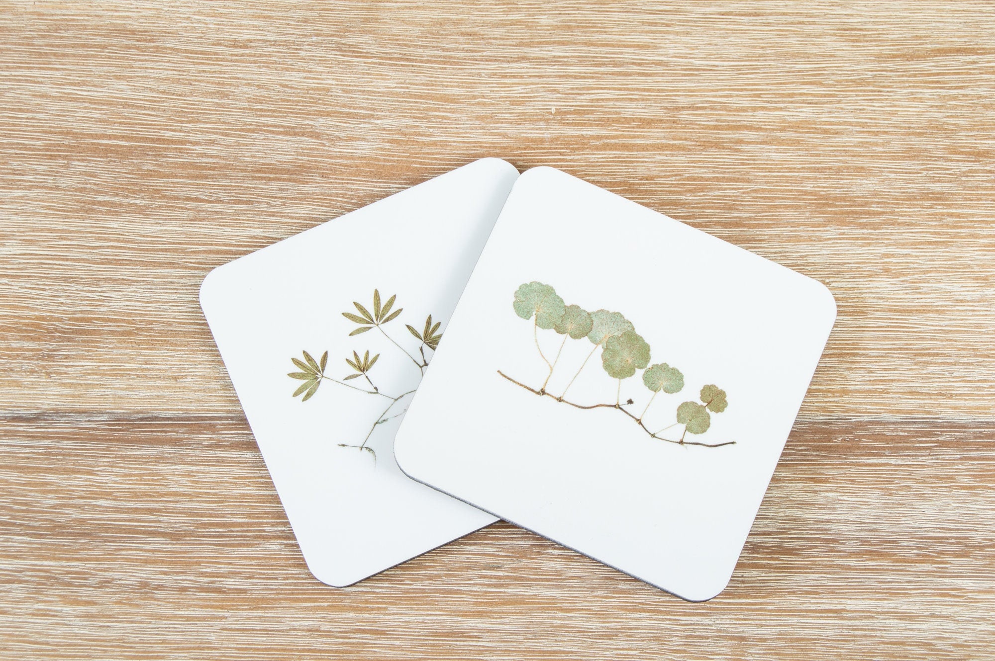 Set of 2 Square Cork-backed Coasters With Botanical Print Coastal ...