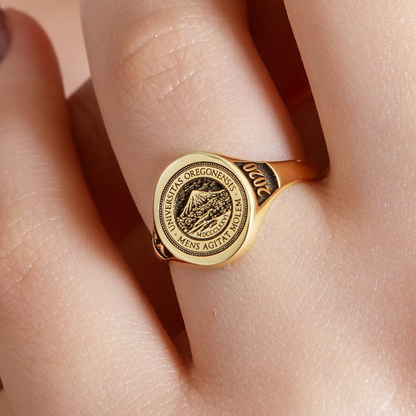 Class Ringschool Ringsignet Ringgraduation - Etsy