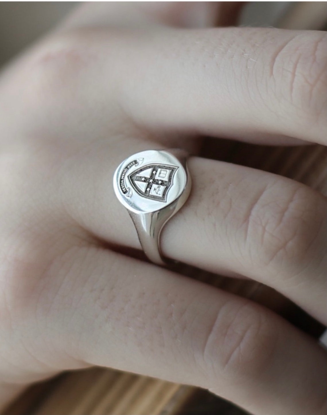 14k Gold Family Crest Ring-coat of Arms-custom Signet - Etsy