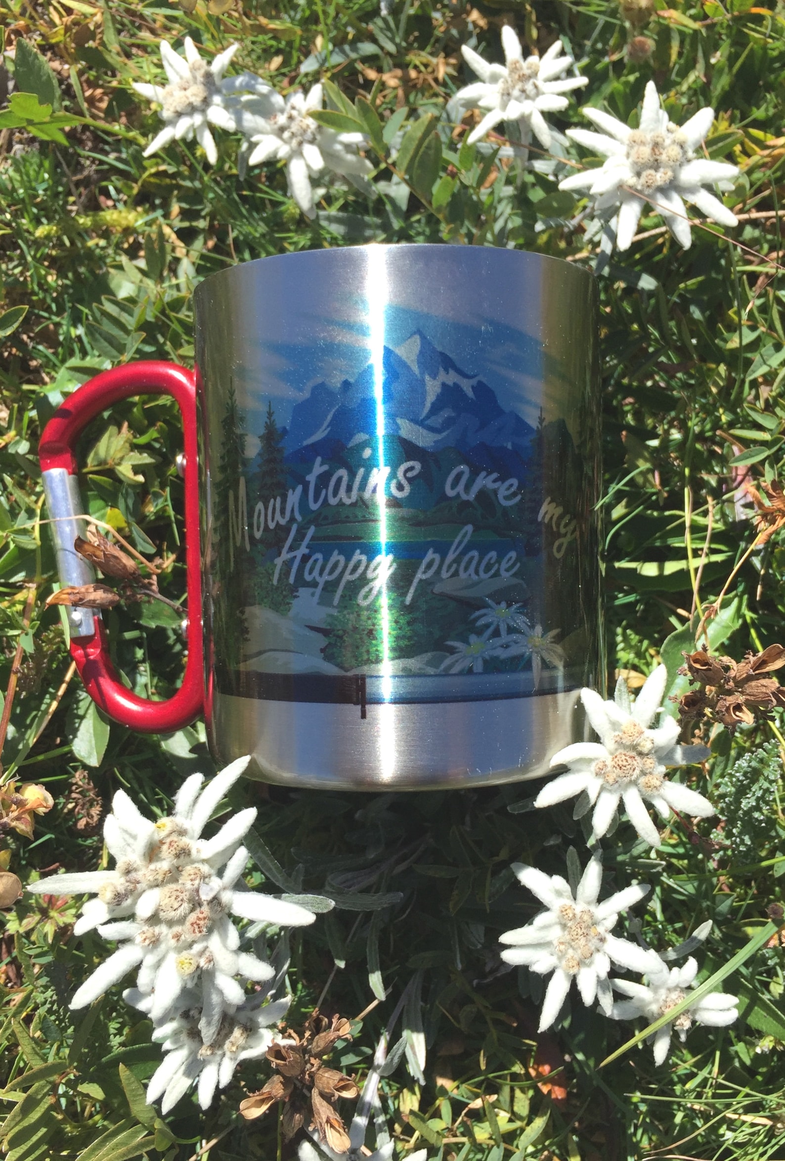 Edelweiss.Gift for the mountains lovers.Hiking gift.Mountains | Etsy