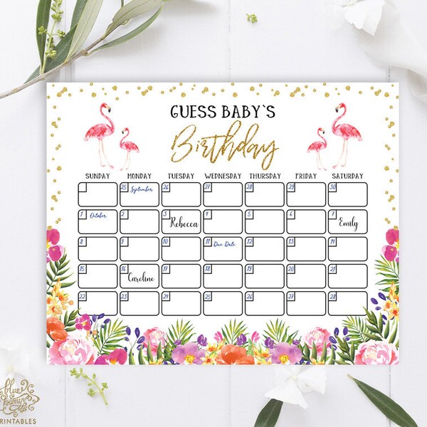 Baby Flamingo - Etsy