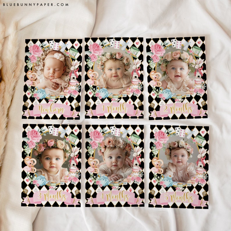 Alice in Wonderland Birthday Photo Banner Alice in Onederland Monthly ...