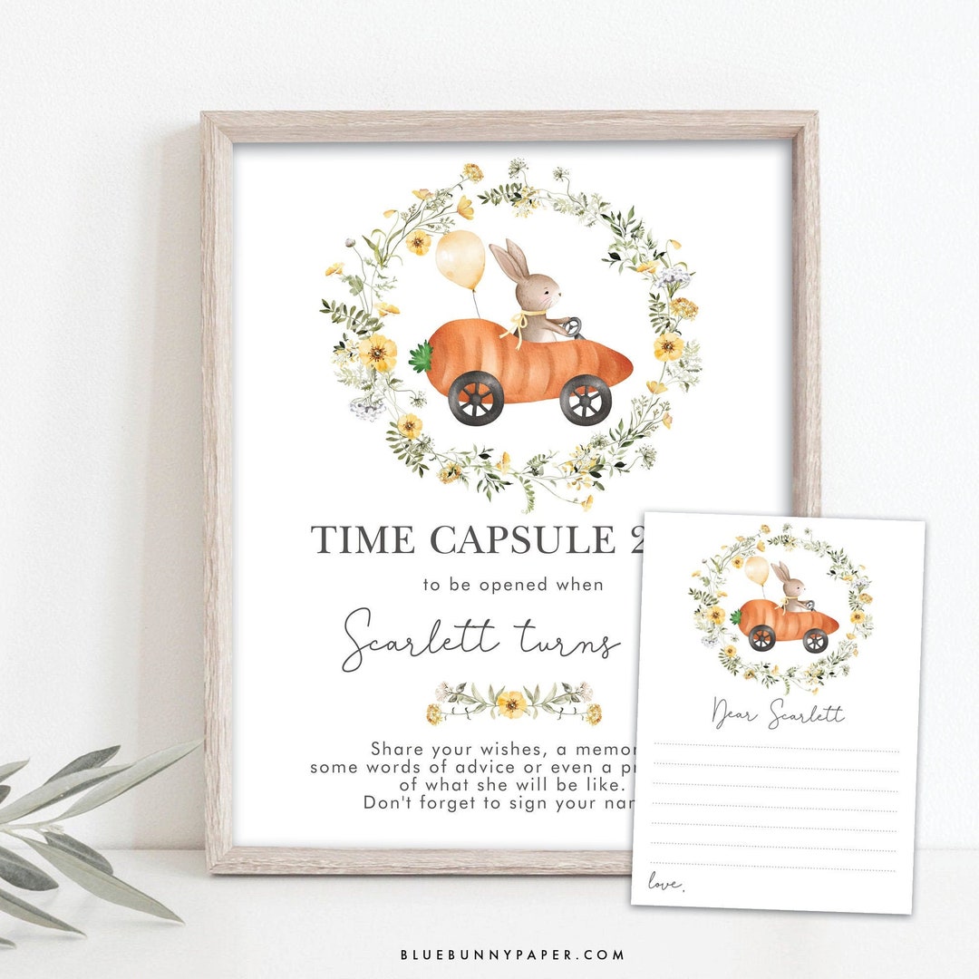 Bunny Wildflower Time Capsule Baby Rabbit Carrot Car First 1st Birthday ...