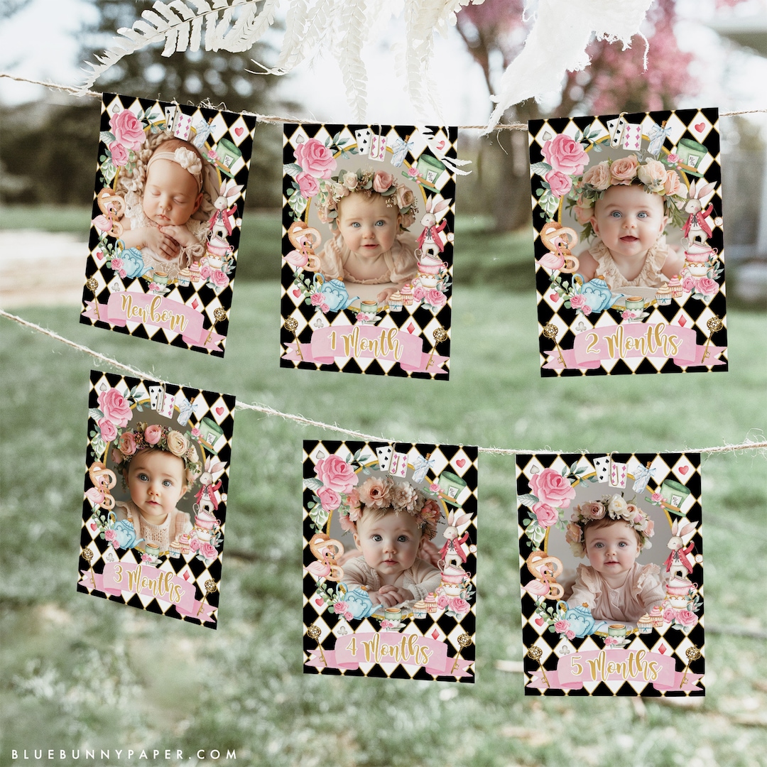 Alice in Wonderland Birthday Photo Banner Alice in Onederland Monthly ...