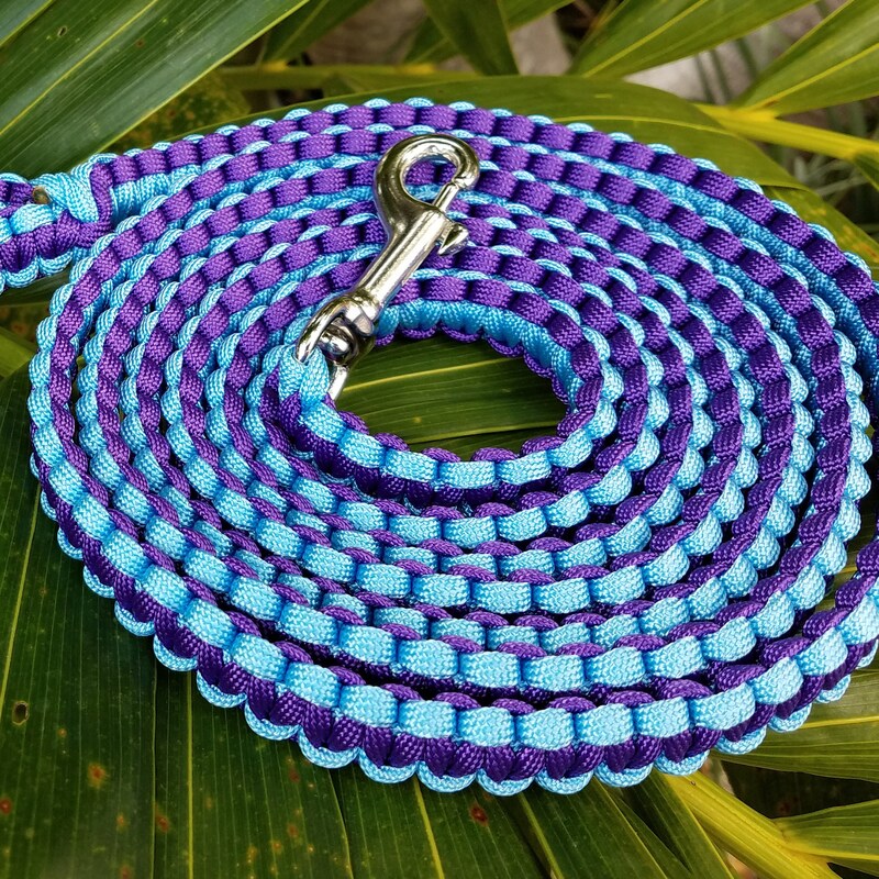 Paracord Dog Leash - Etsy