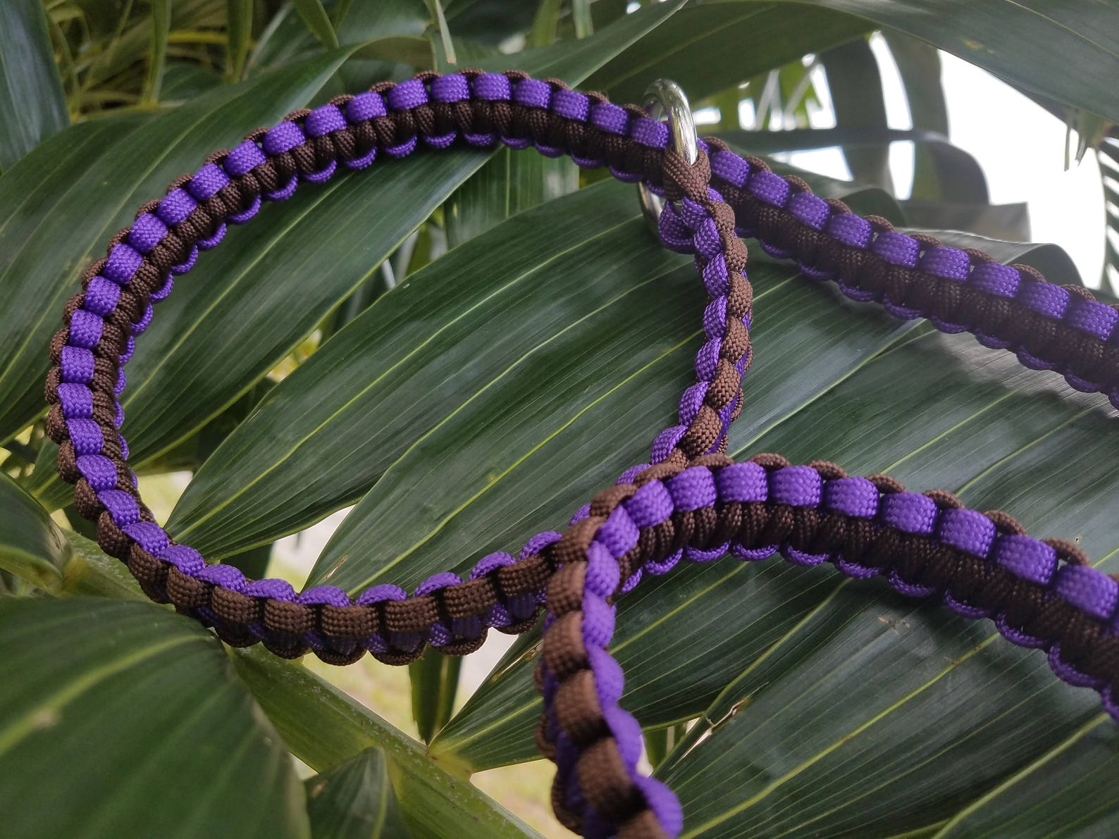 Paracord Slip Leash, Slip Collar and Dog Leash, All in One Paracord Dog ...