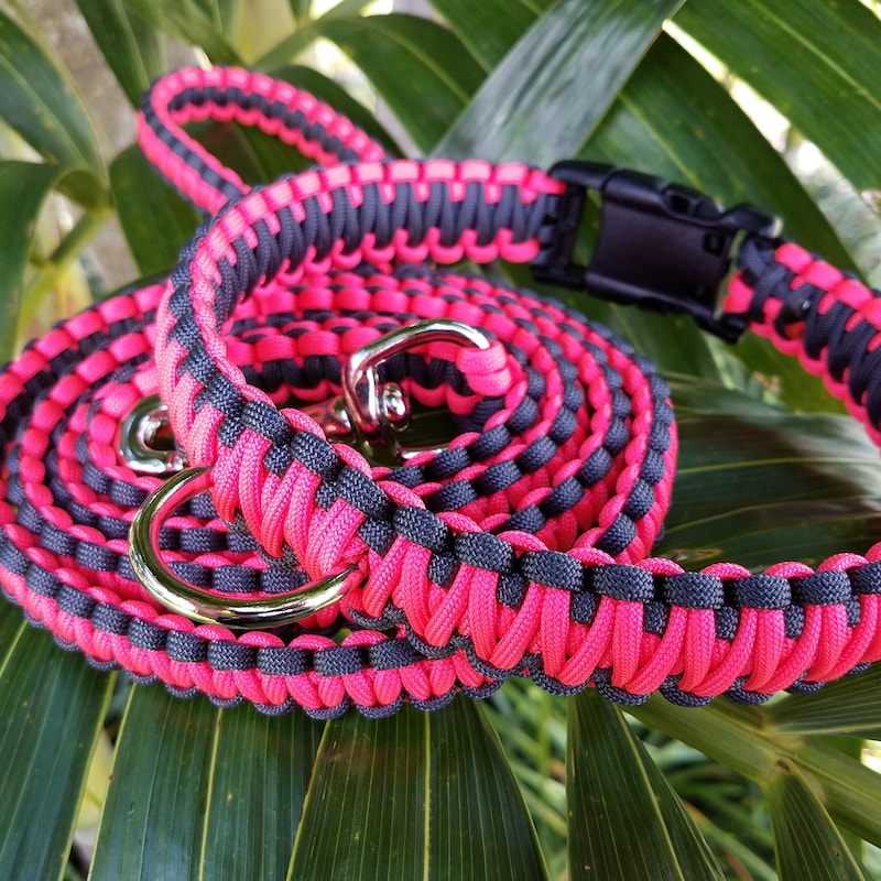 Custom Dog Leash - Etsy
