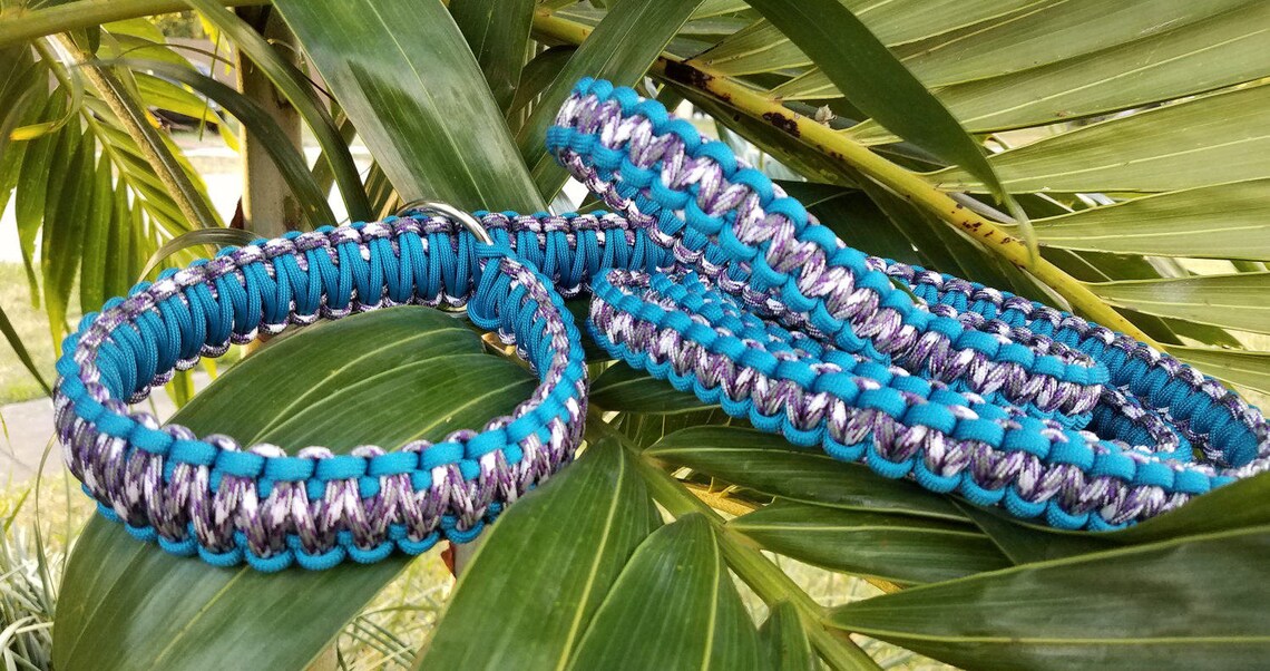 All in One Paracord Slip Collar and Leash Martingale Collar - Etsy