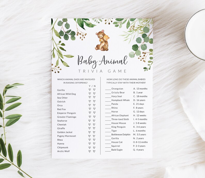 Bear Themed Baby Shower Games Bundle Bear Baby Shower Game - Etsy