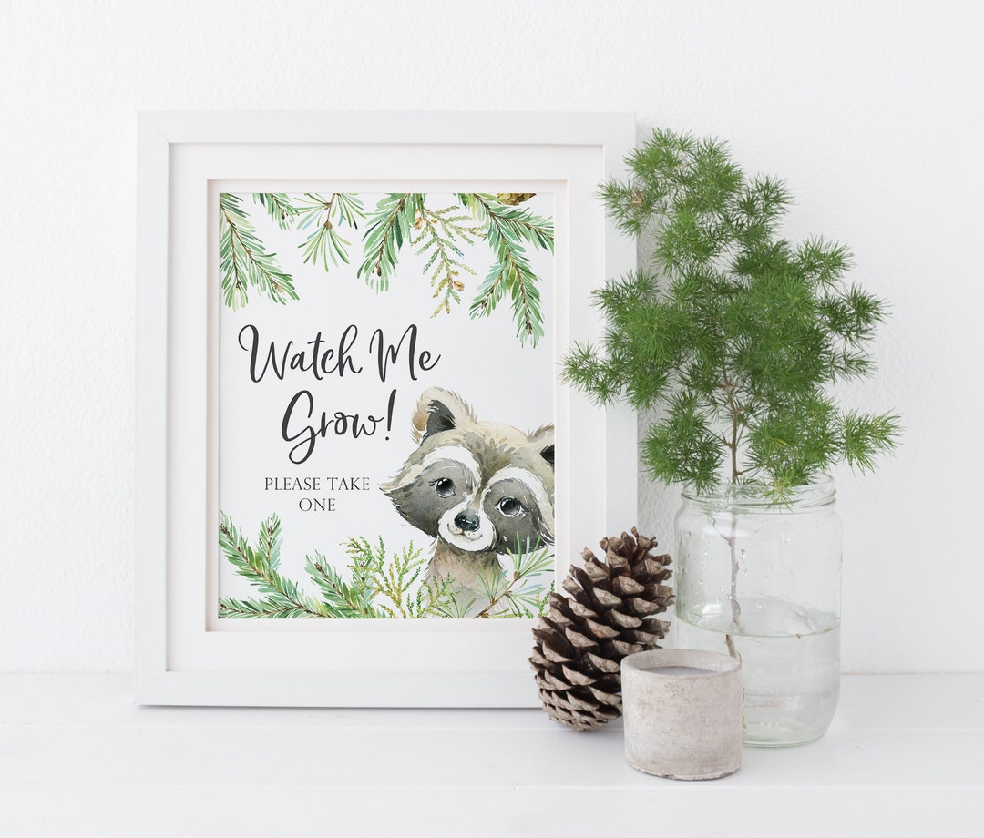 Watch Me Grow Baby Shower Favor Sign Succulent Favors - Etsy