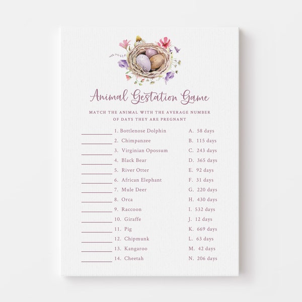 Bird Baby Shower - Etsy