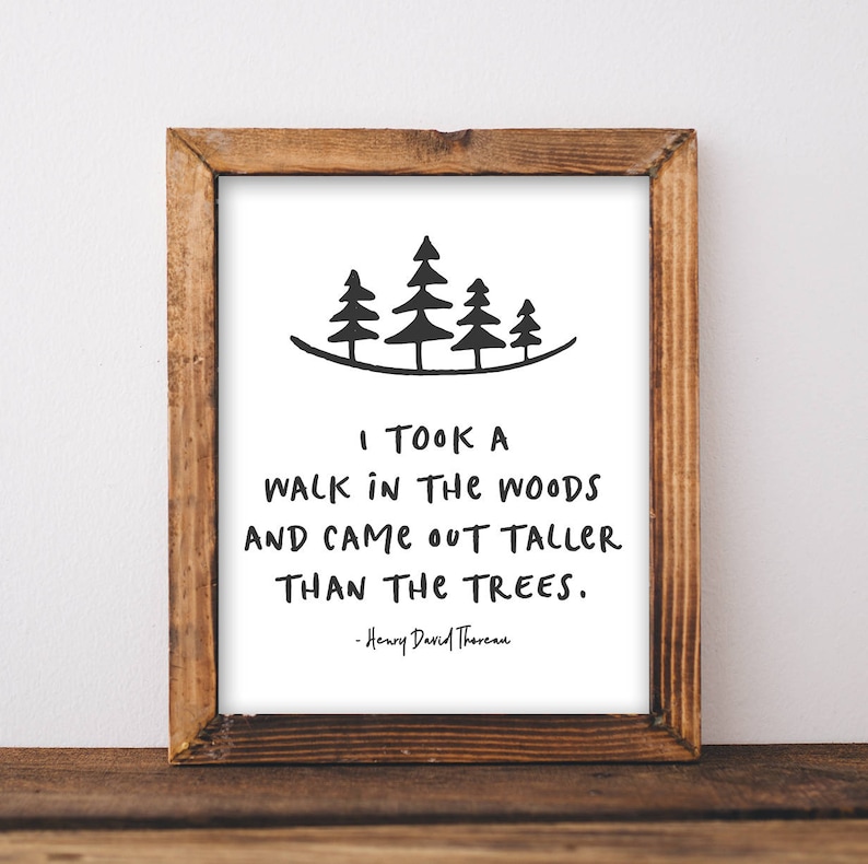 I Took A Walk in the Woods and Came Out Taller Than the Trees - Henry ...