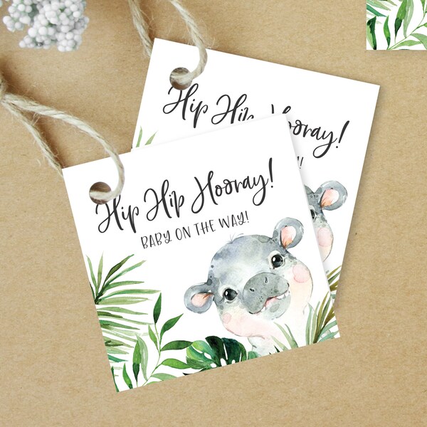 Hippo Party Favors - Etsy