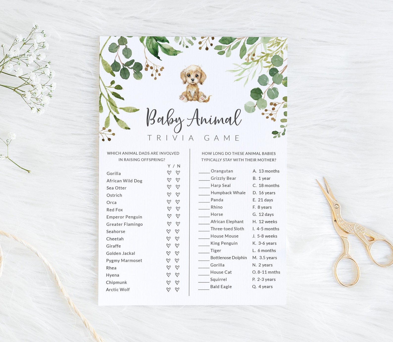 Dog Baby Shower Game Bundle Set of 12 Printable Games - Etsy