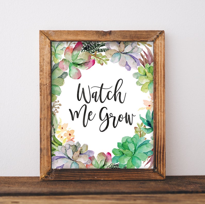 Watch Me Grow Sign Succulent Favors Sign Baby Shower | Etsy