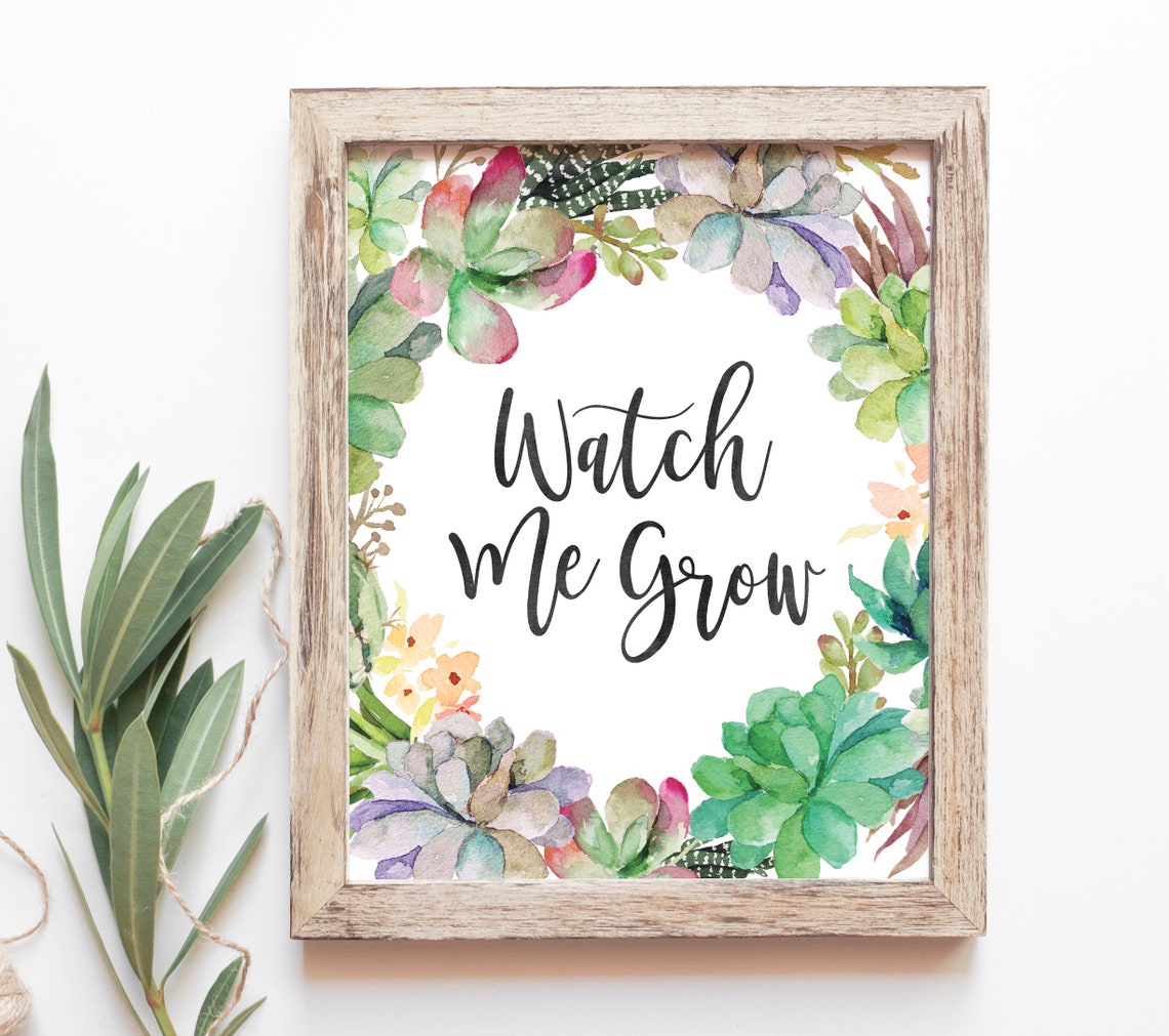 Watch Me Grow Sign Succulent Favors Sign Baby Shower - Etsy