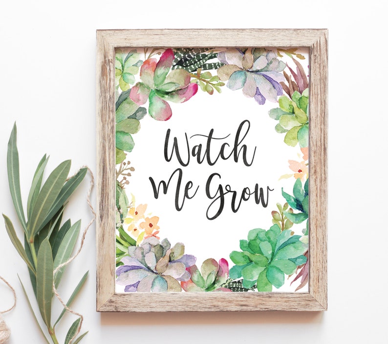 Watch Me Grow Sign - Succulent Favors Sign - Baby Shower Succulent ...