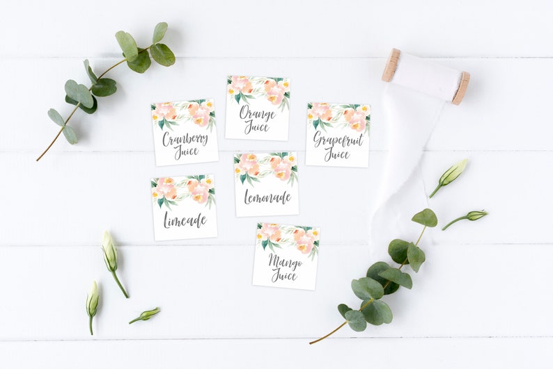 Printable Mimosa Bar Sign and Juice Tags but First Mimosas - Etsy