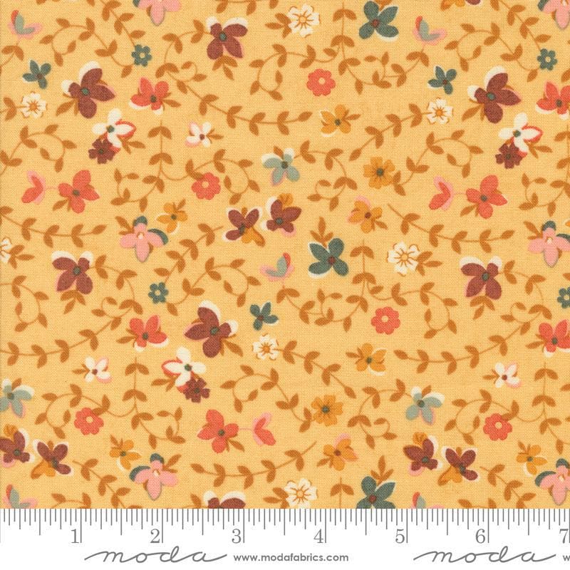 Acorn Hollow Moda Fabric - Etsy
