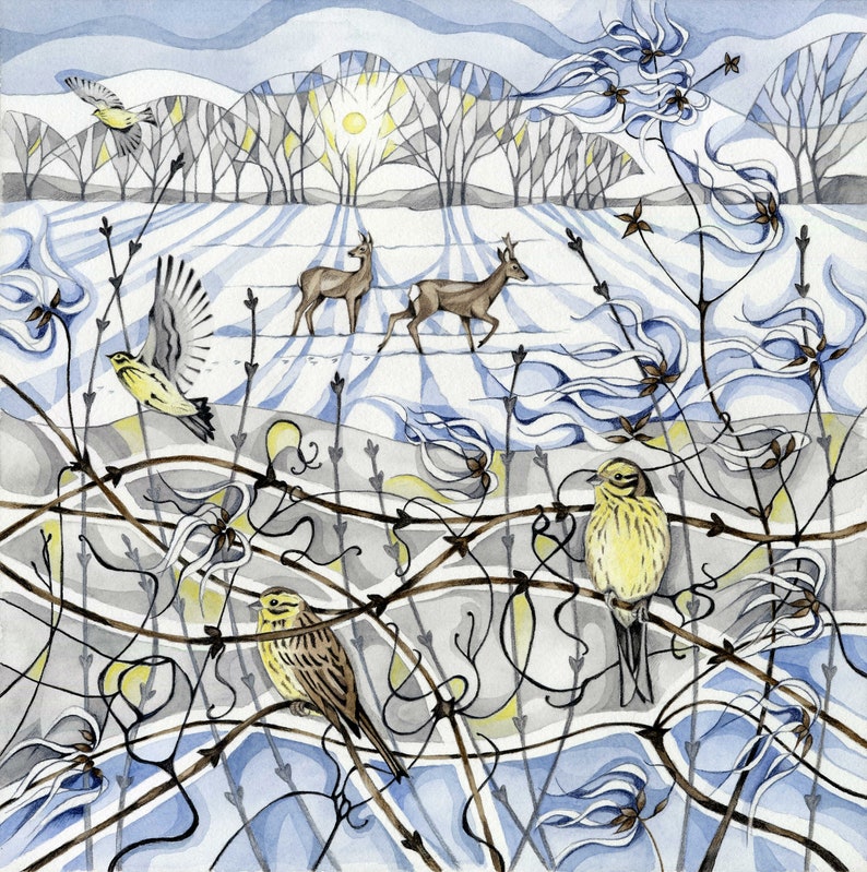 Pack of 4 Wildlife Winter Cards. Christmas Cards. Snow Card. Bird Cards ...