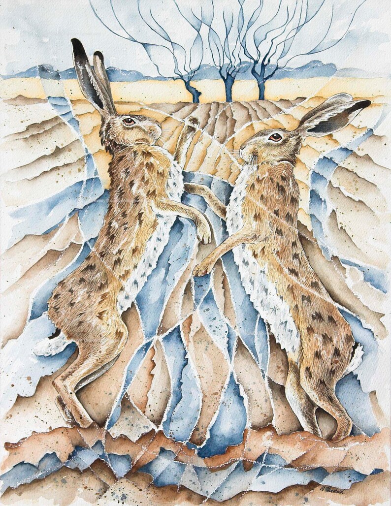 Boxing Hares, Hare, Farm Land, Ploughed Field, Wildlife, Print ...