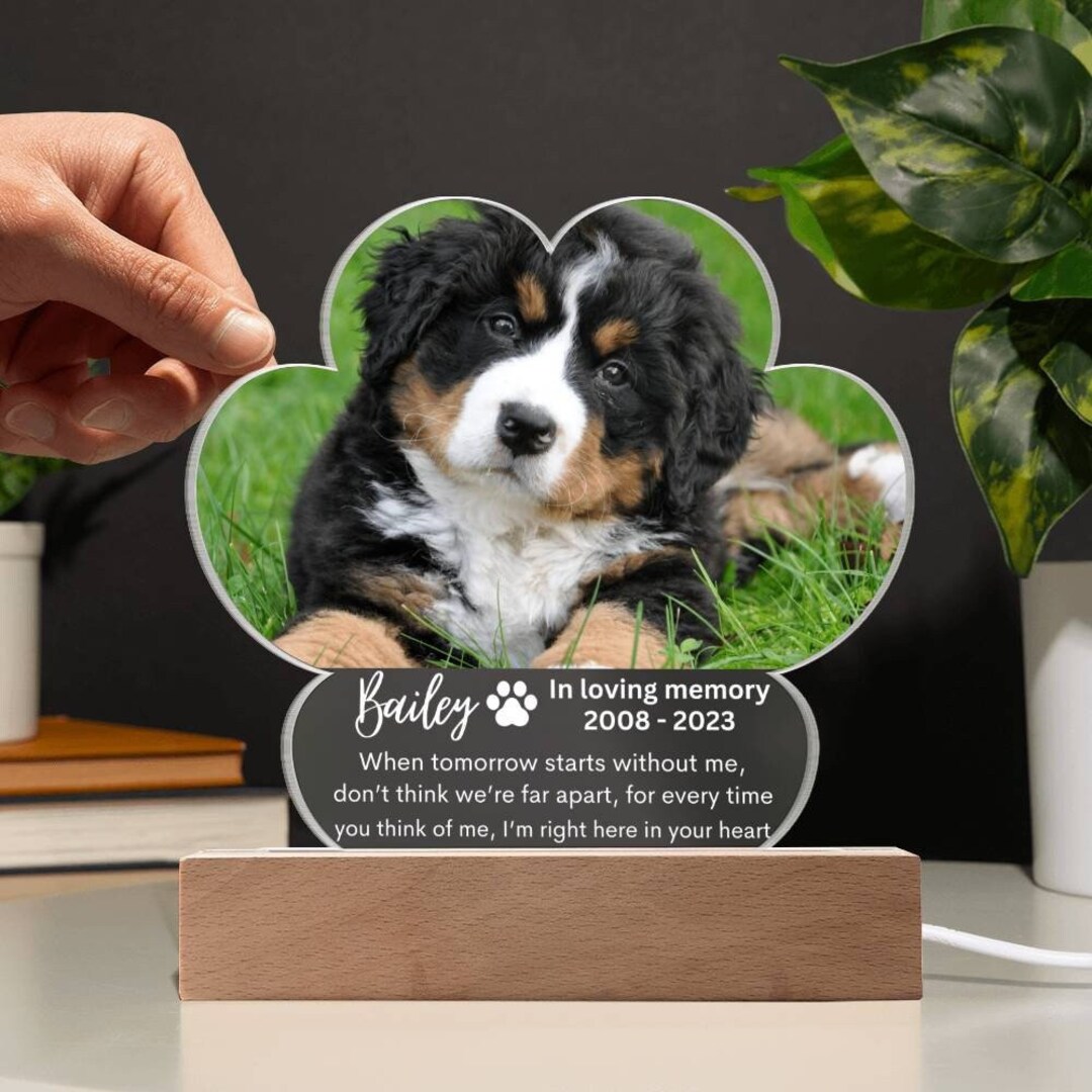 Personalized Pet Memorial LED Lighted Paw Plaque - Etsy