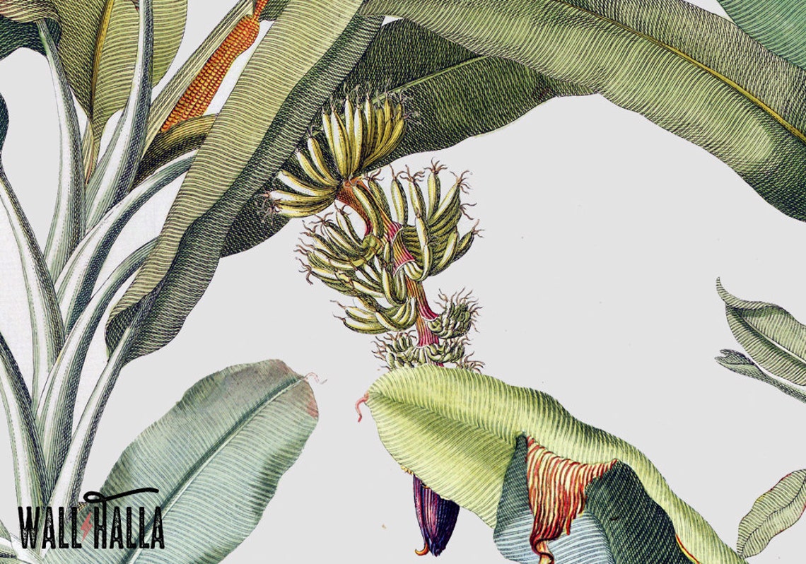 Seamless Self Adhesive Banana Tree Leaf Pattern Wallpaper - Etsy Canada
