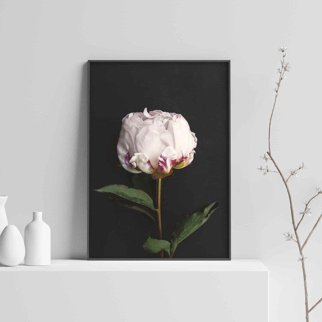White Flower Print, Peony Print, White Peony Art, Flower Poster, Flower ...