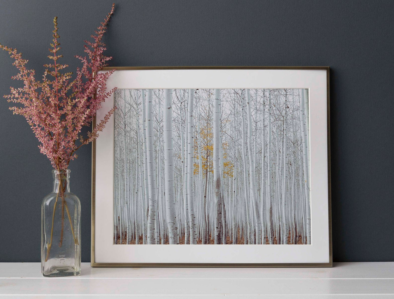 Birch Print Birch Tree Photography Woodland Print White | Etsy