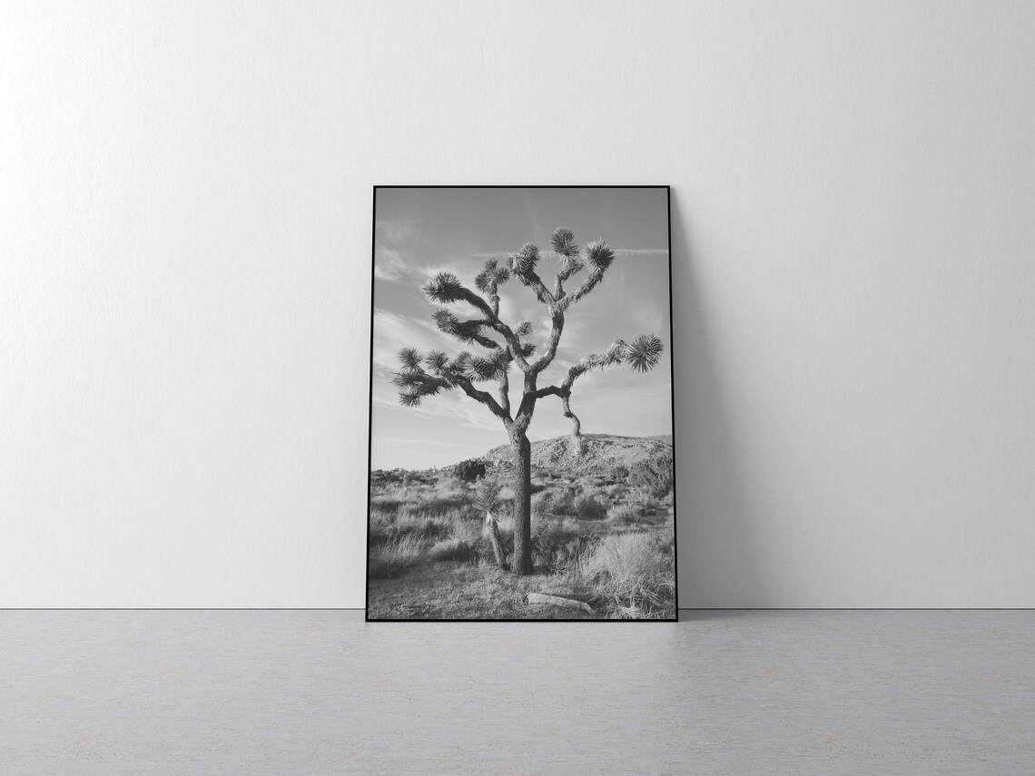 Joshua Tree Print Black and White Photography Joshua Tree - Etsy