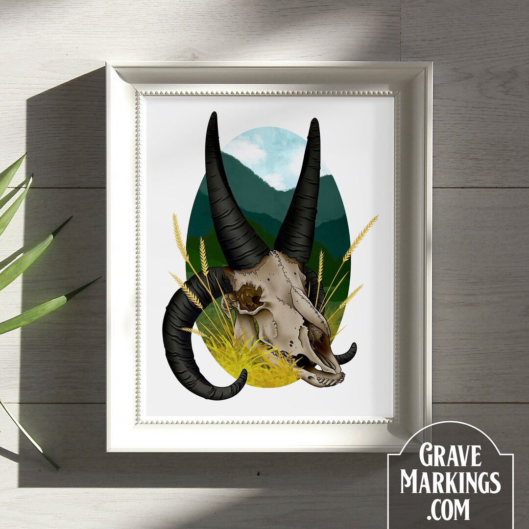 Jacobs Sheep Skull Art Print - Etsy